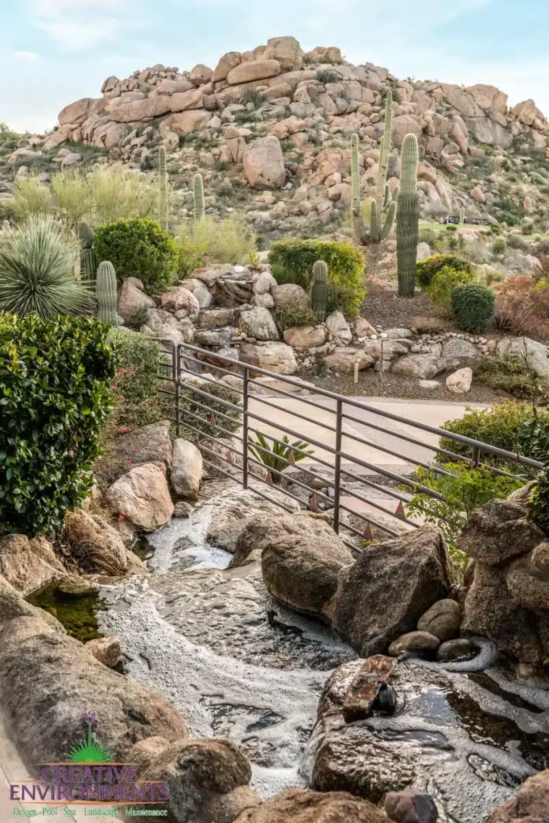 Best Trees to Plant in Arizona Landscapes - Creative Environments